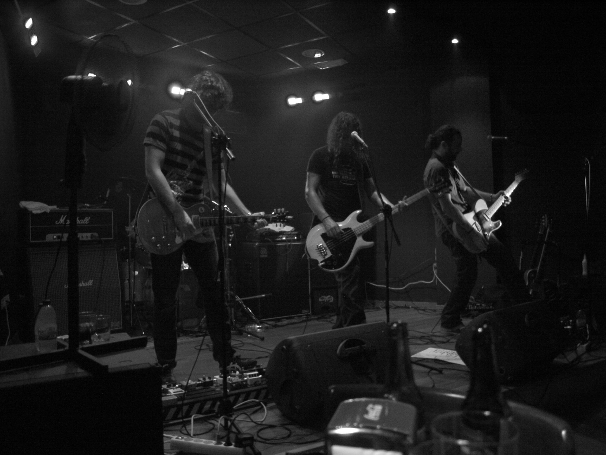 LUNÁTICA EN EL BLACK BIRD